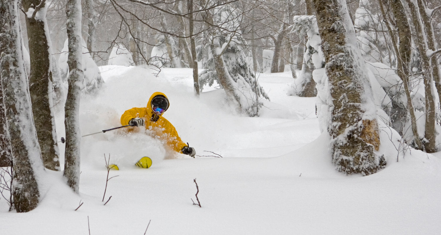 Ski The East